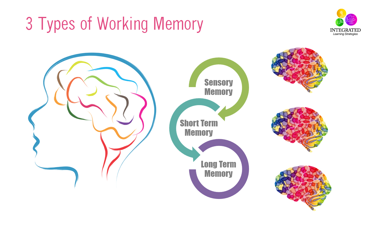 Best Memorization Techniques For Professionals: Better Memory