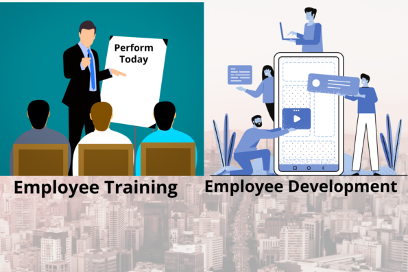Employee and Organizational Development: A complete Guide | Monitask