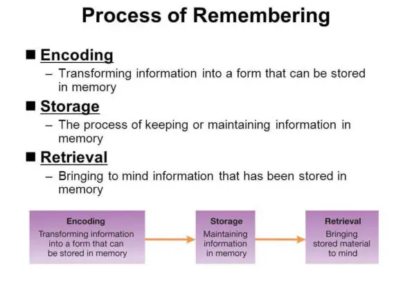 Top Memorization Techniques to Boost Your Learning Power | Monitask